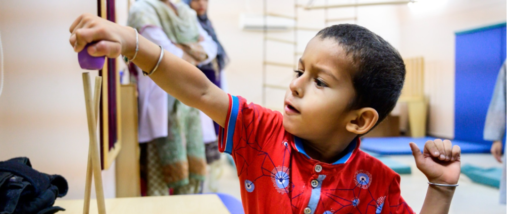 Global Scales for Early Development (GSED) - ECDAN